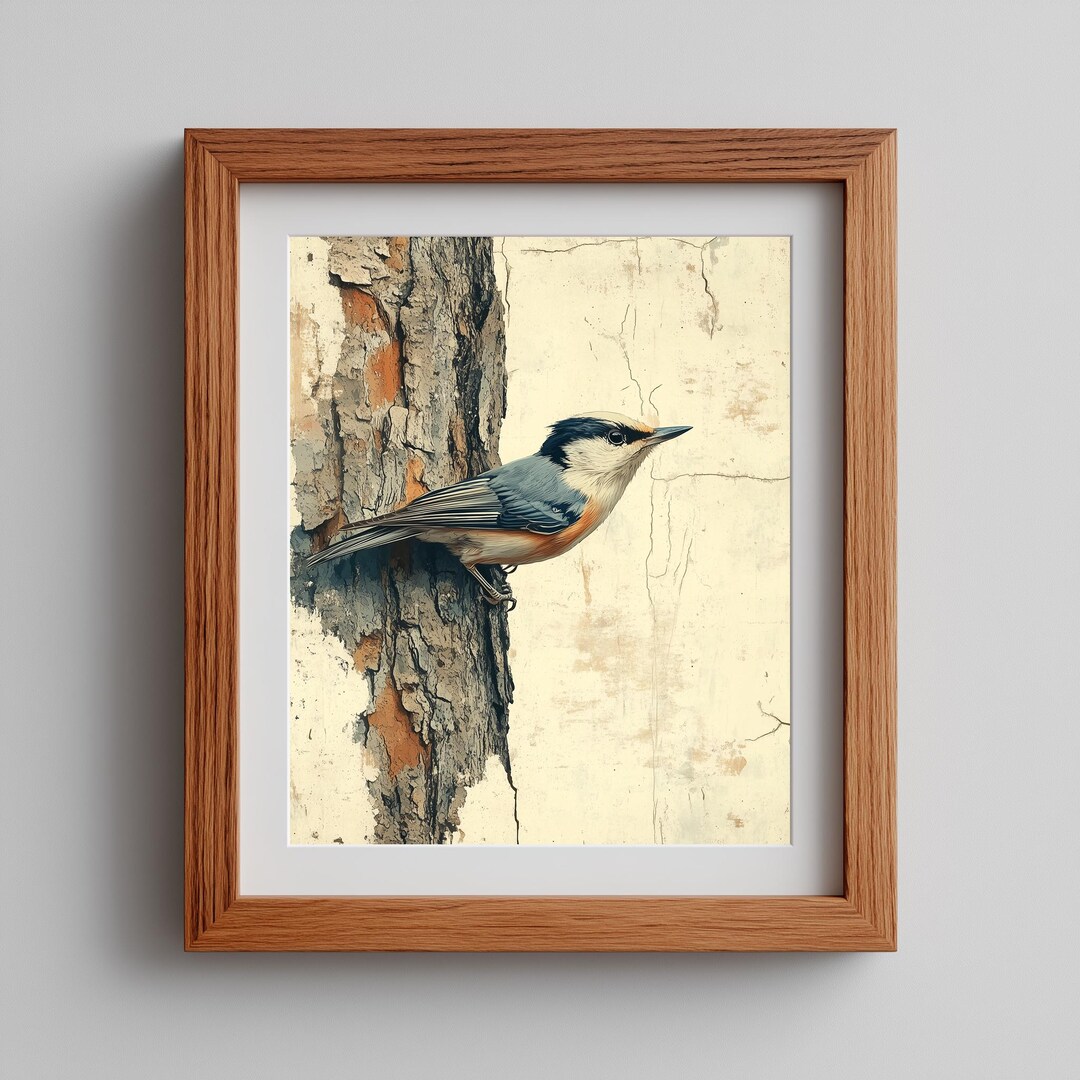 Vintage Nuthatch Climbing Tree Trunk - Rustic Natural History Printable ...