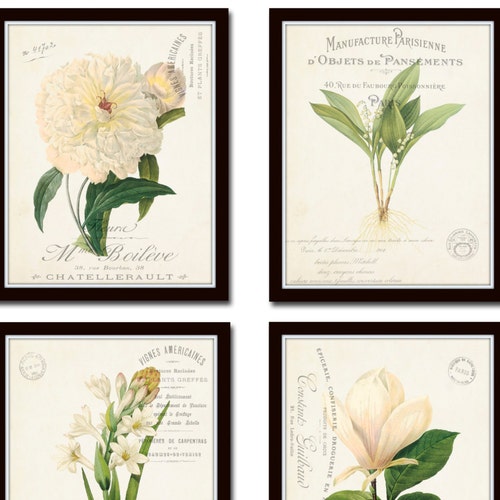 French Botanical Collage Print Set No. 3 Botanical Print - Etsy
