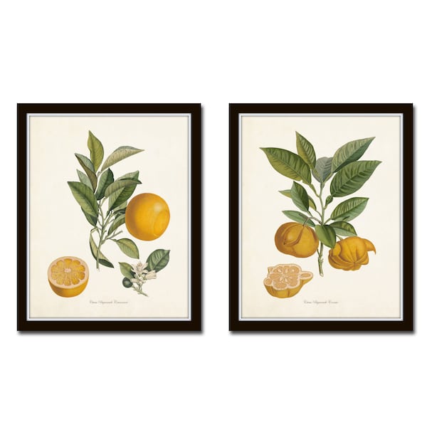 Citrus Print - Etsy