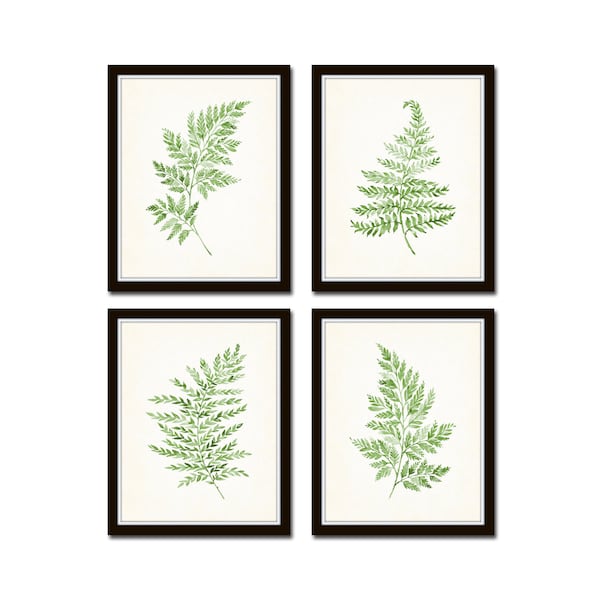 Fern Print - Etsy