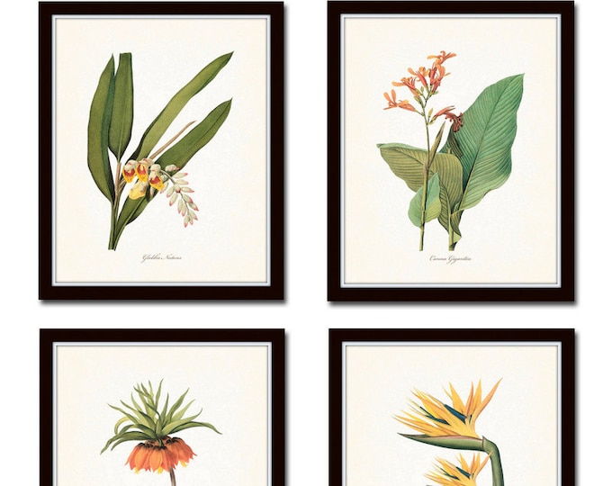 French Botanical Collage Print Set No. 23 Botanical Print - Etsy