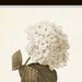 Sepia Flowers Print Set No.1, Botanical Prints, Giclee, Home Decor Wall ...