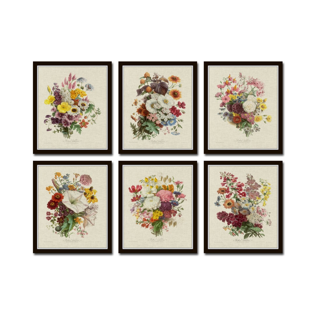French Botanical Collage Print Set No. 6, Vintage Botanical Prints ...