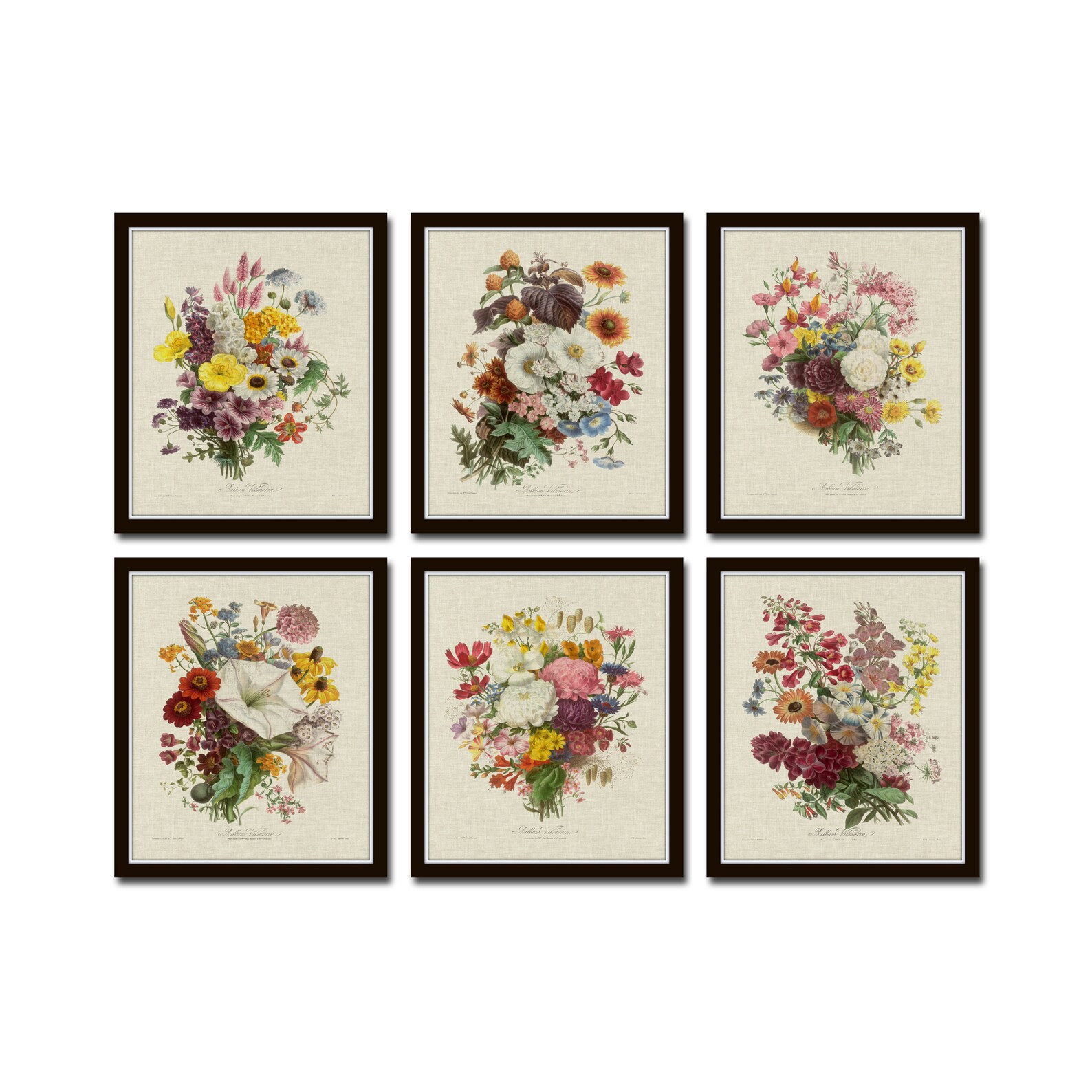 French Botanical Collage Print Set No. 6 Vintage Botanical | Etsy