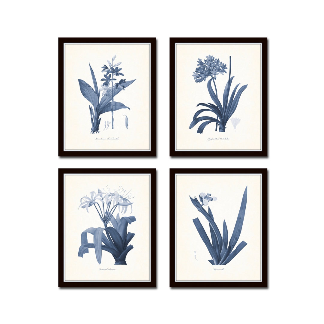 Blue Botanical Print Set No.18, French Botanical Prints, Giclee ...