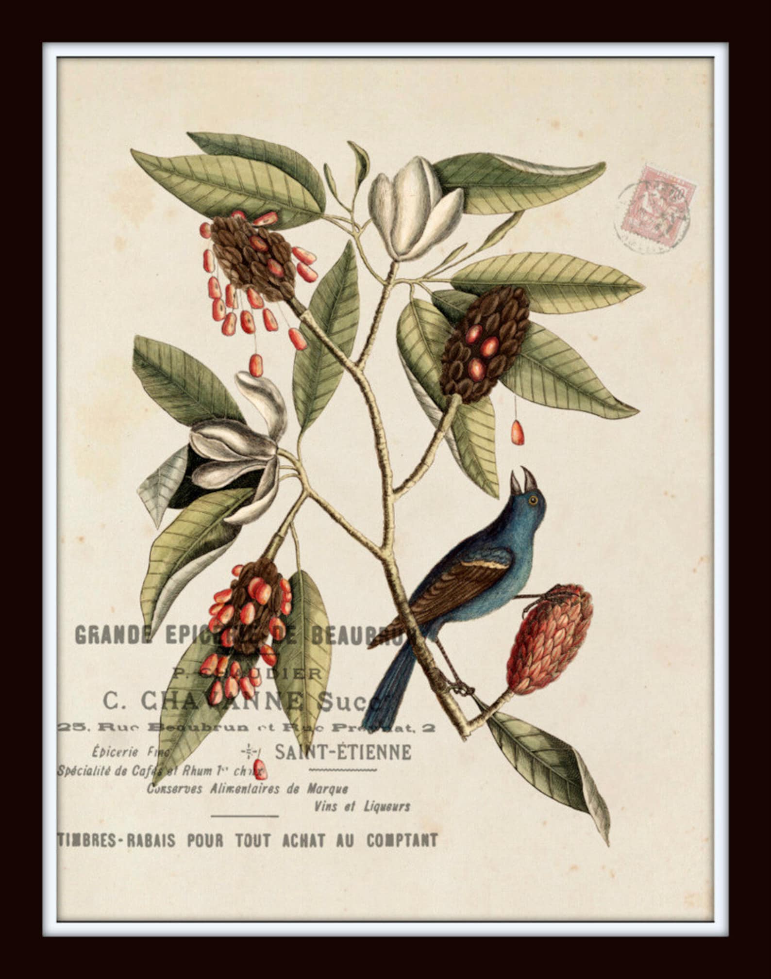 Vintage Bird and Botanical Print Set No.1, Giclee, Home Decor, Wall Art ...