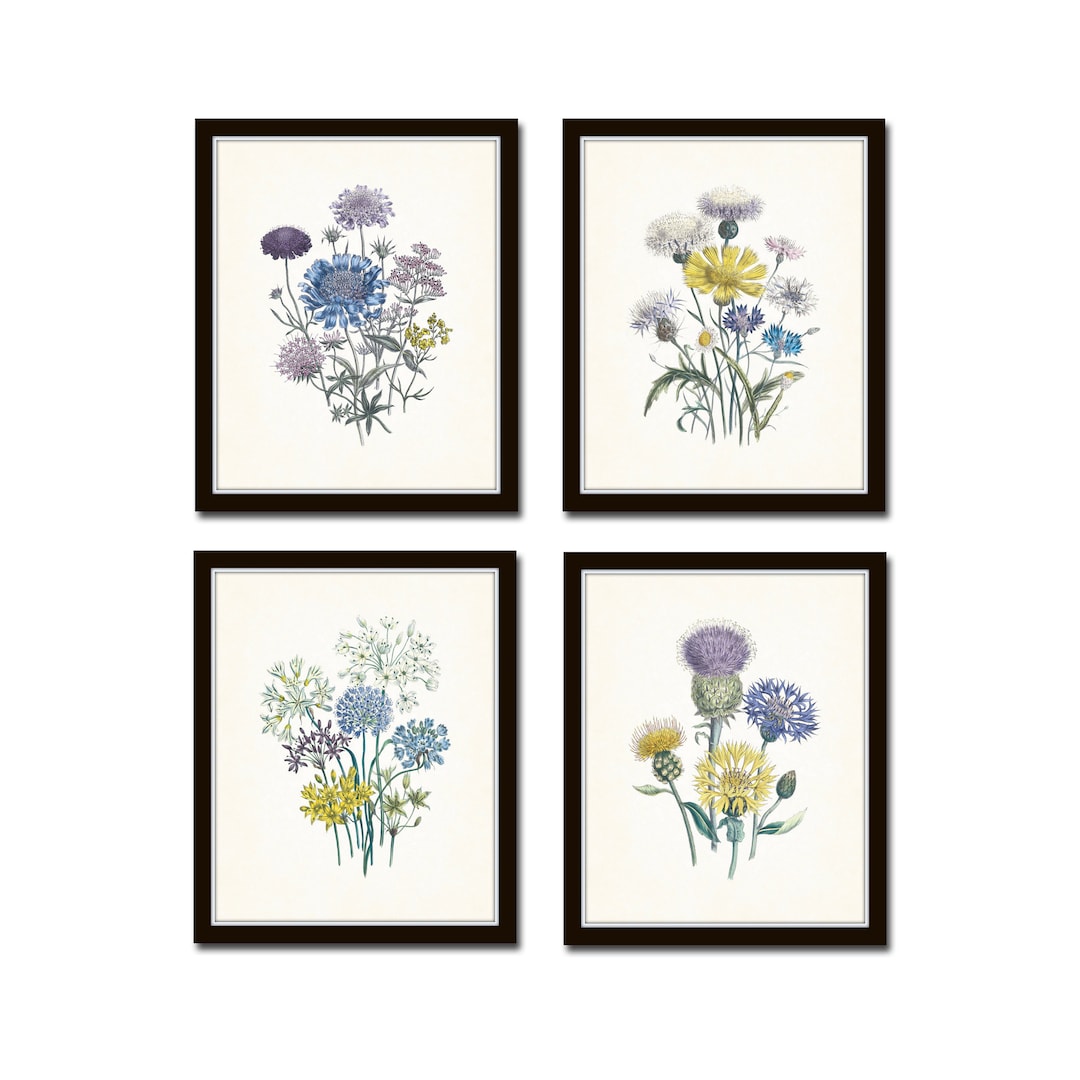Botanical Print Set No. 12, Vintage Botanical Prints, Giclee, Botanical ...