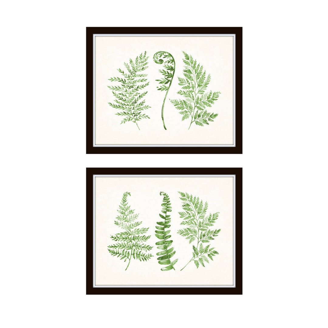 Watercolor Ferns Print Set No. 5, Botanical Prints, Botanical Art, Wall ...
