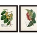 English Garden Botanical Print Set No. 7, Giclee, Art Print, Vintage ...