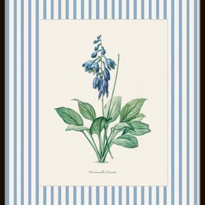 Striped French Botanical Prints, Striped Floral Print, Wall Art, Blue ...