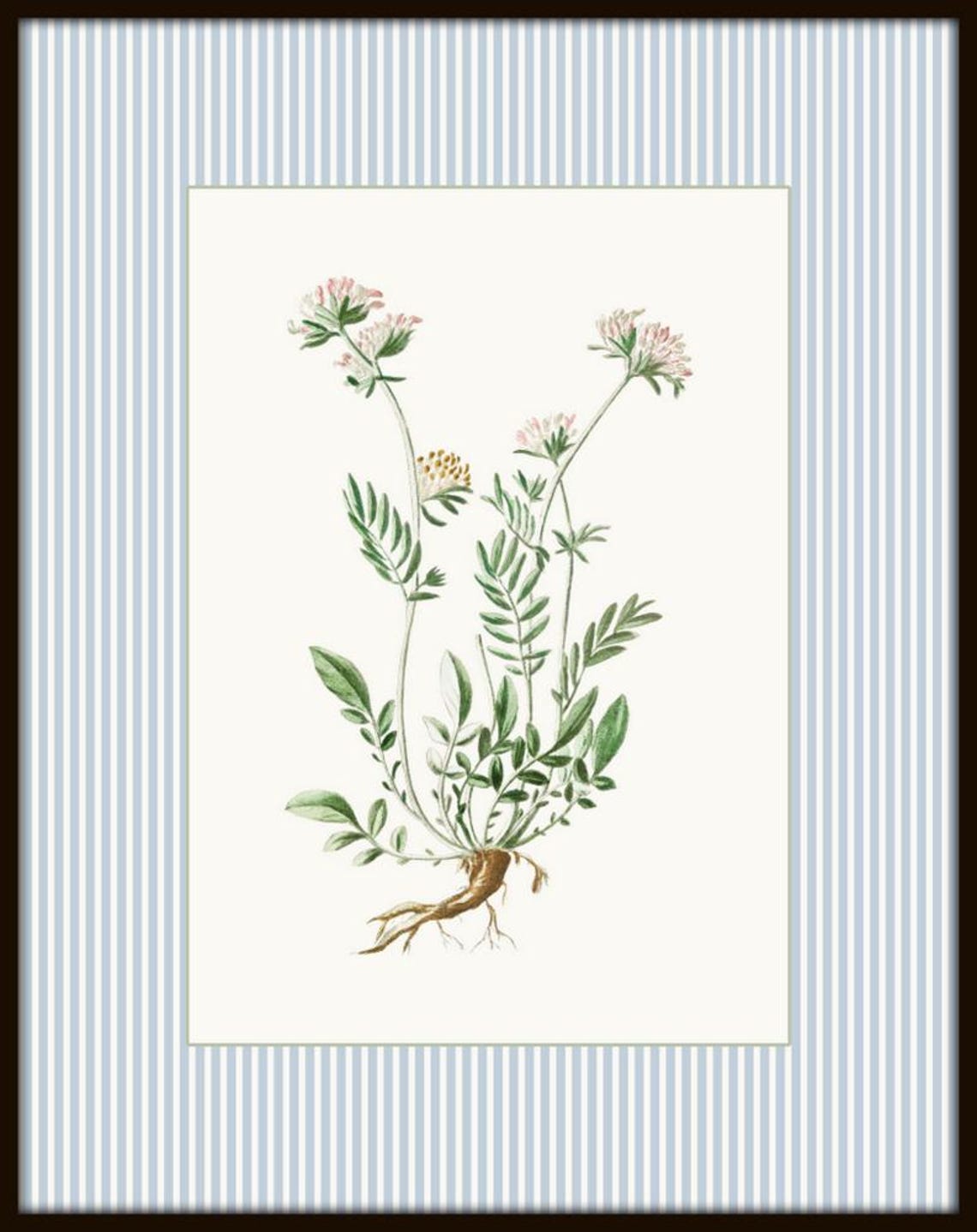 Antique Botanical Collage Print Set, Italian Botanical Art, Home Decor ...