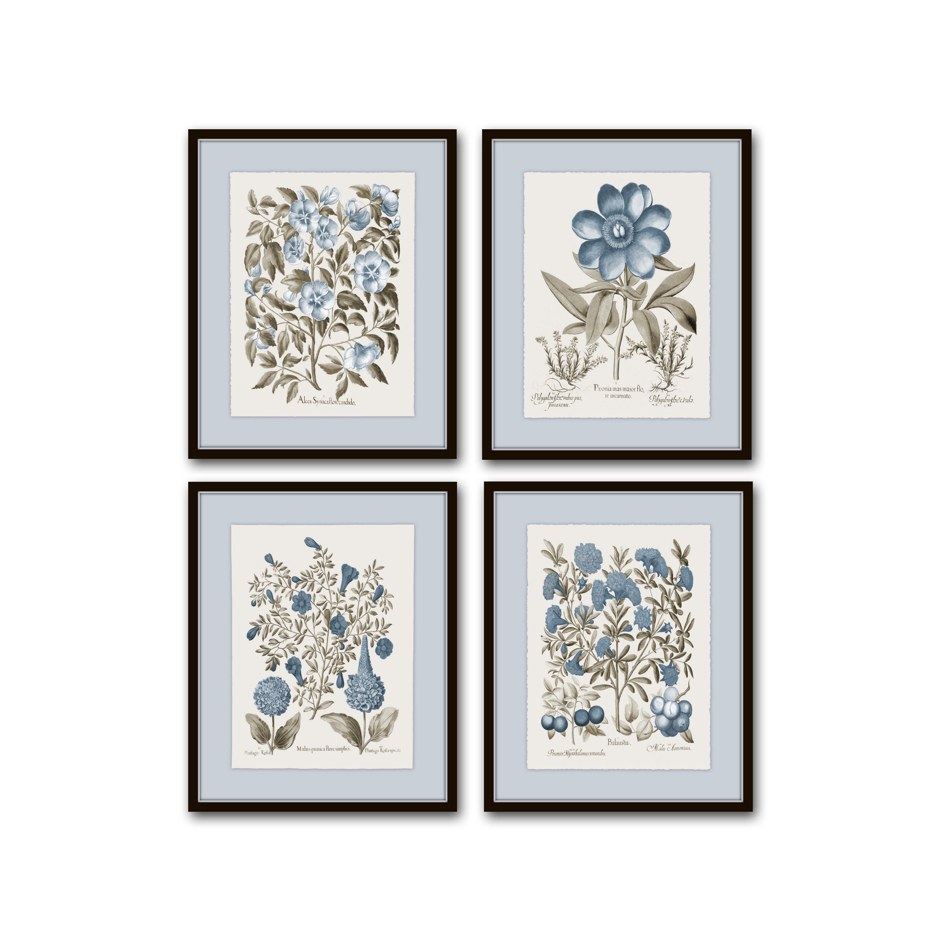 Vintage Sepia and Blue Botanical Print Set No. 3, Botanical Art ...