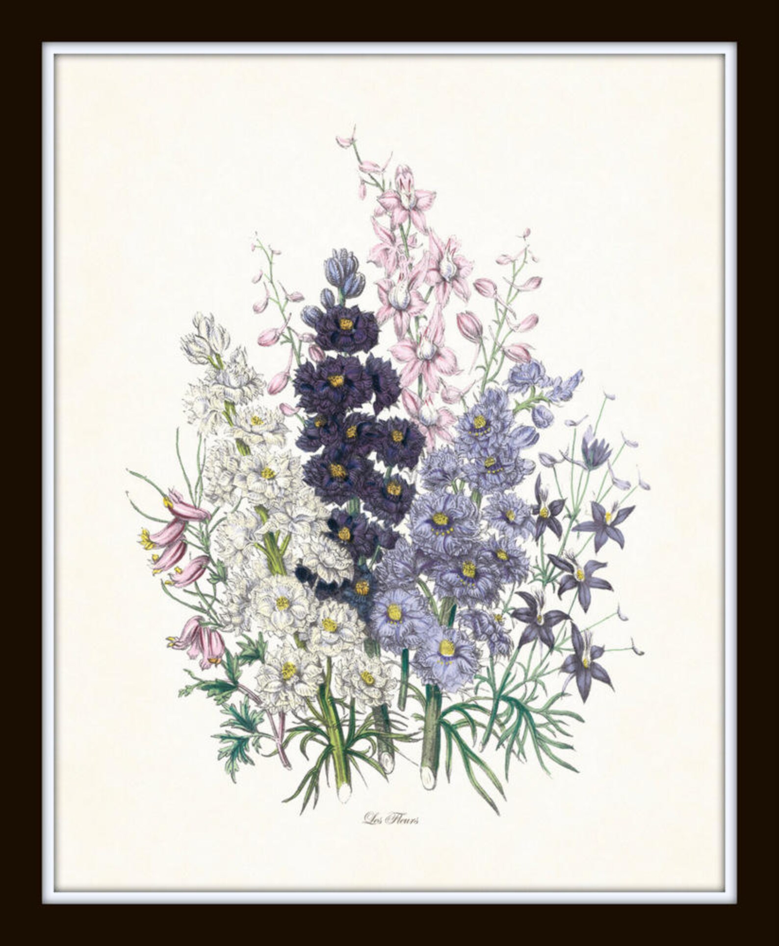 Botanical Print No.17, Les Fleurs, Giclee, Art Print, Antique Botanical ...