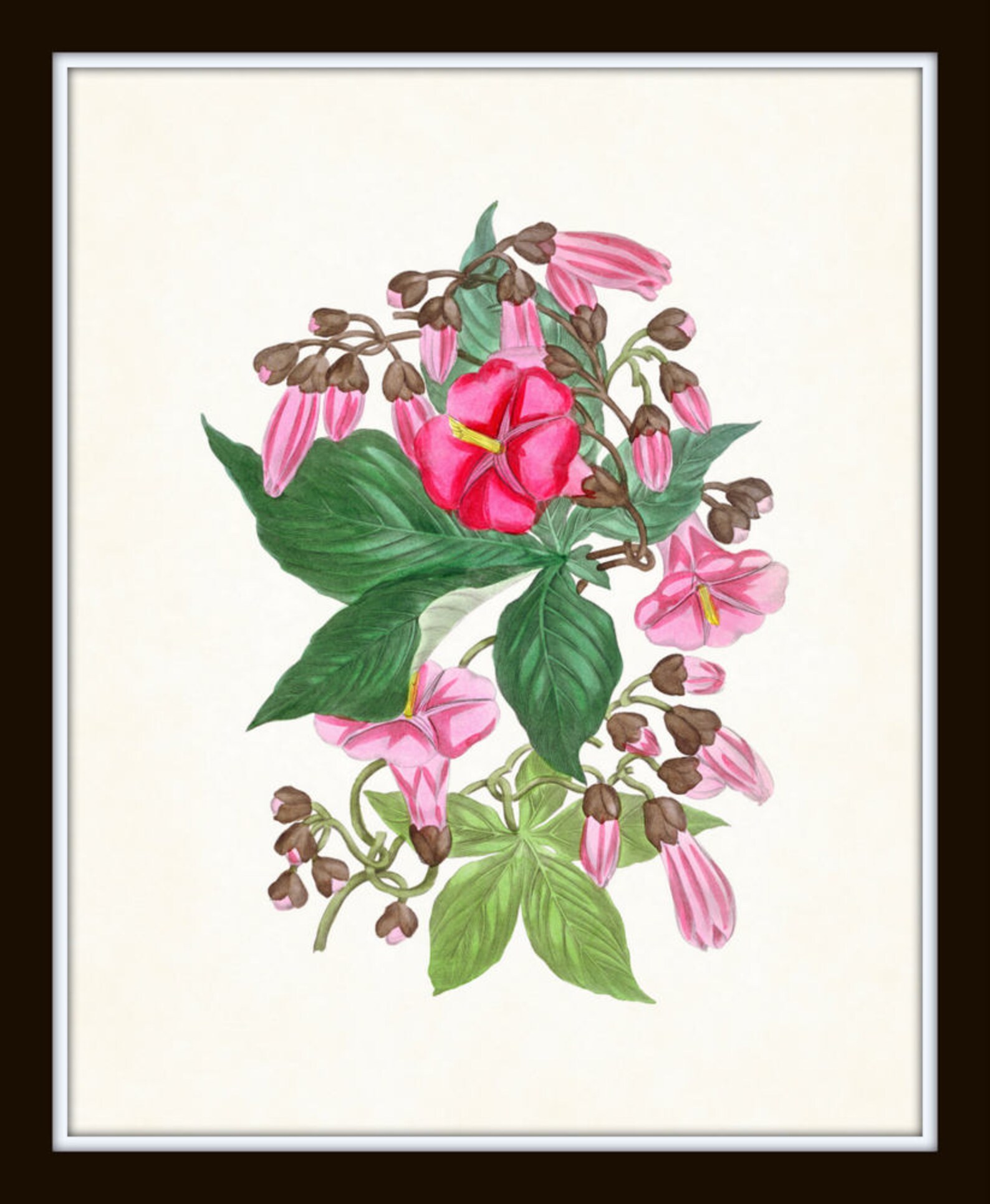 Pink Botanical Print Set No. 10 Art Prints Botanical Print - Etsy