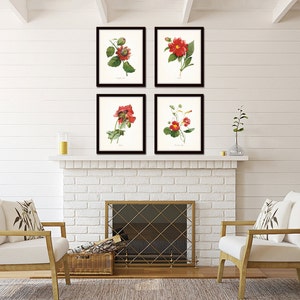 Red Botanical Print Set No. 5, Redoute Botanicals, Giclee, Art Prints ...
