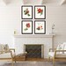 Red Botanical Print Set No. 5, Redoute Botanicals, Giclee, Art Prints ...