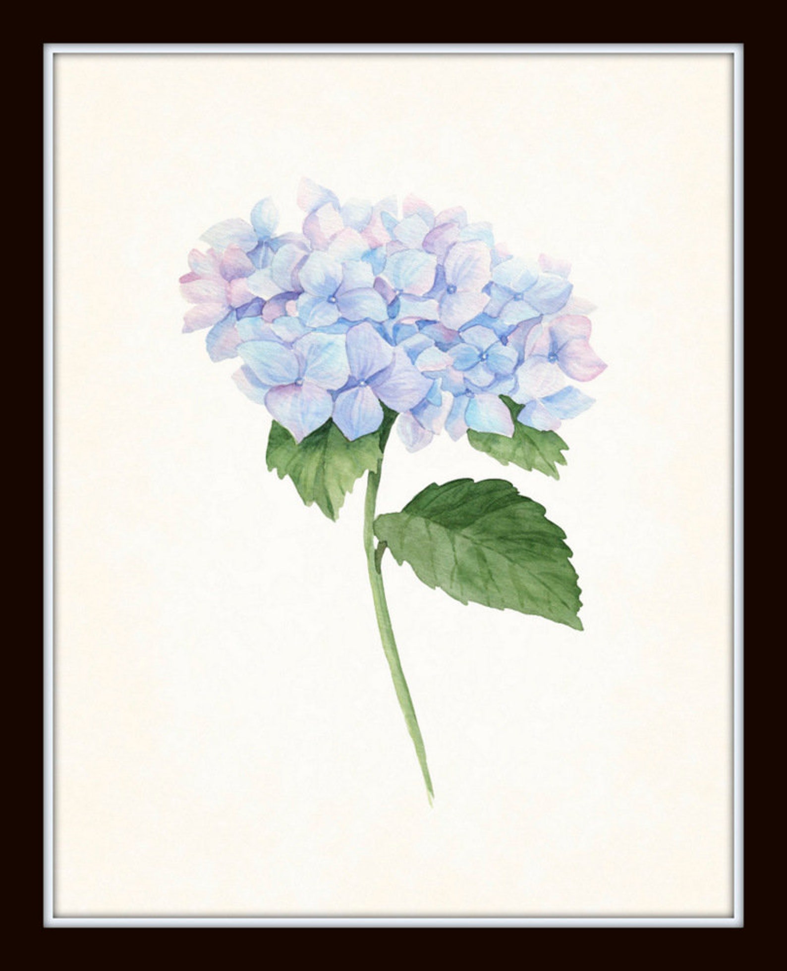 Hydrangea Print Set, Botanical Prints, Watercolor Botanical Prints ...