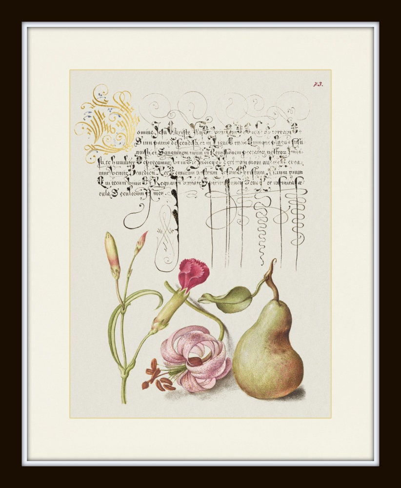 Botanical Print Set Calligraphy Art Manuscript Giclee Art | Etsy