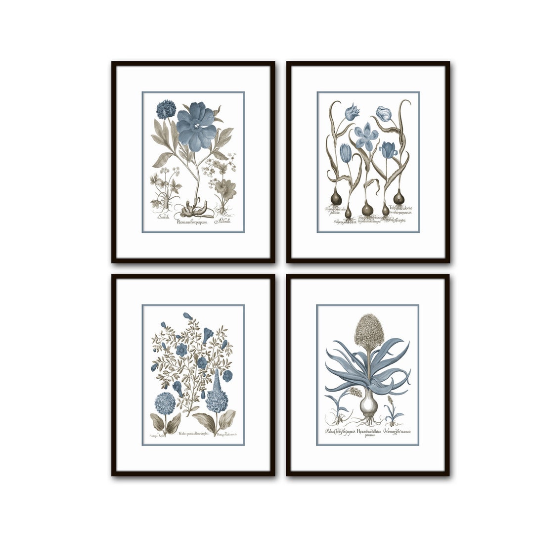 Vintage Sepia and Blue Collage Set No. 21, Botanical Prints, Vintage ...