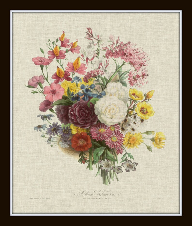 French Botanical Print Set No. 3 Vintage Botanical Prints - Etsy