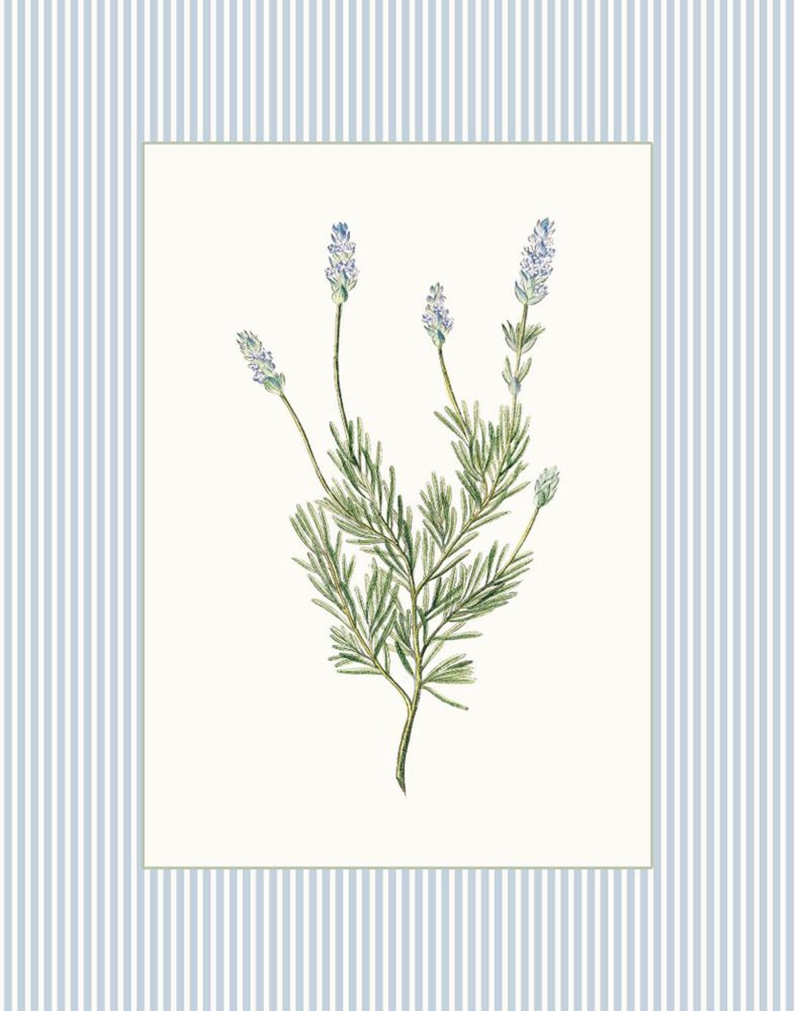 Antique Botanical Collage Print Set, Italian Botanical Art, Home Decor ...