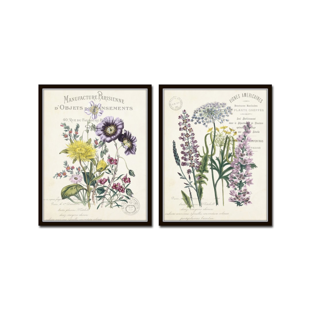 French Botanical Collage Print Set No. 23, Botanical Prints, Home Decor ...