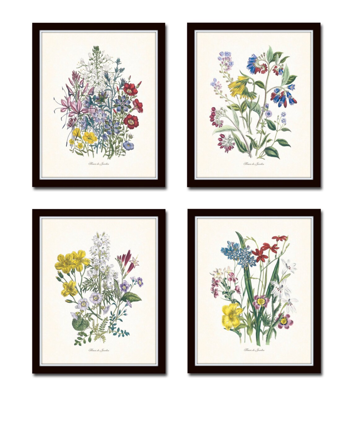 Fleurs De Jardin Print Set No. 16, Botanical, Print Set, Wall Art ...