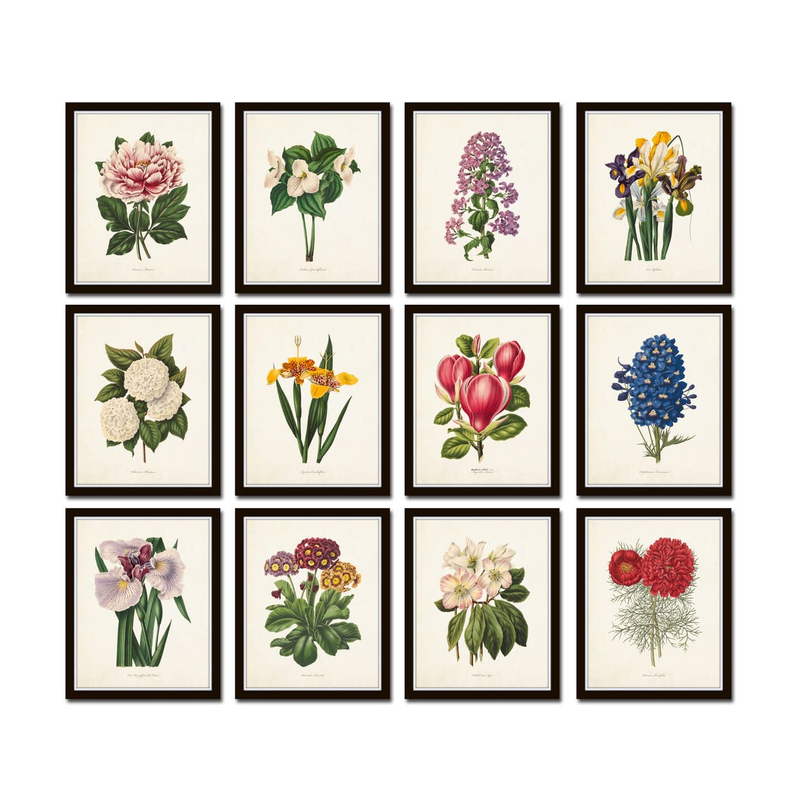 Botanical Garden Print Set No. 21, Botanical Print Set, Botanical Art ...