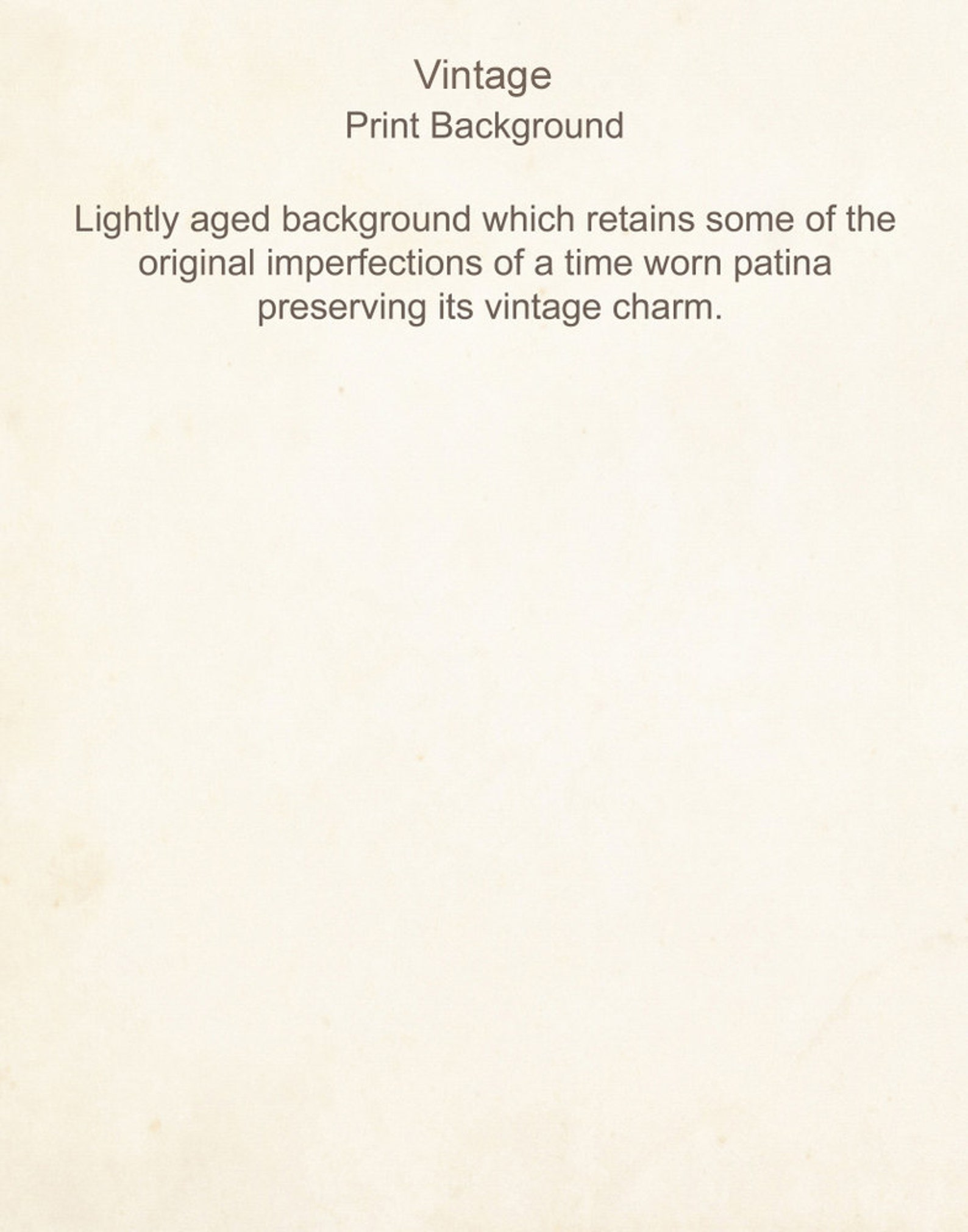 Palm Fronds Print Set No. 1 Botanical Prints Giclee Art - Etsy