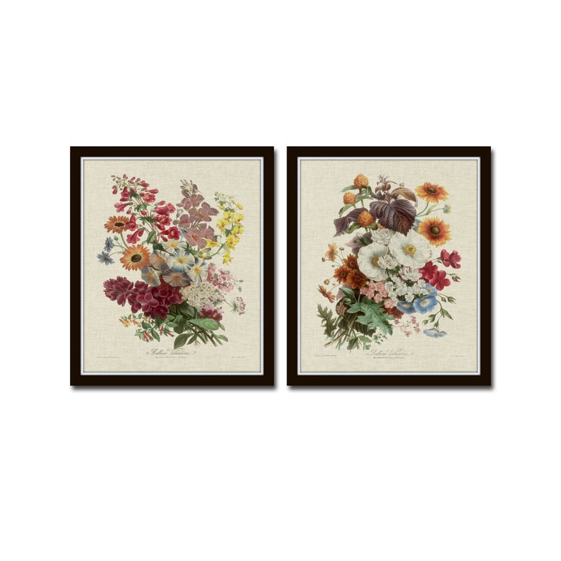 French Botanical Print Set Vintage Botanical Prints French - Etsy