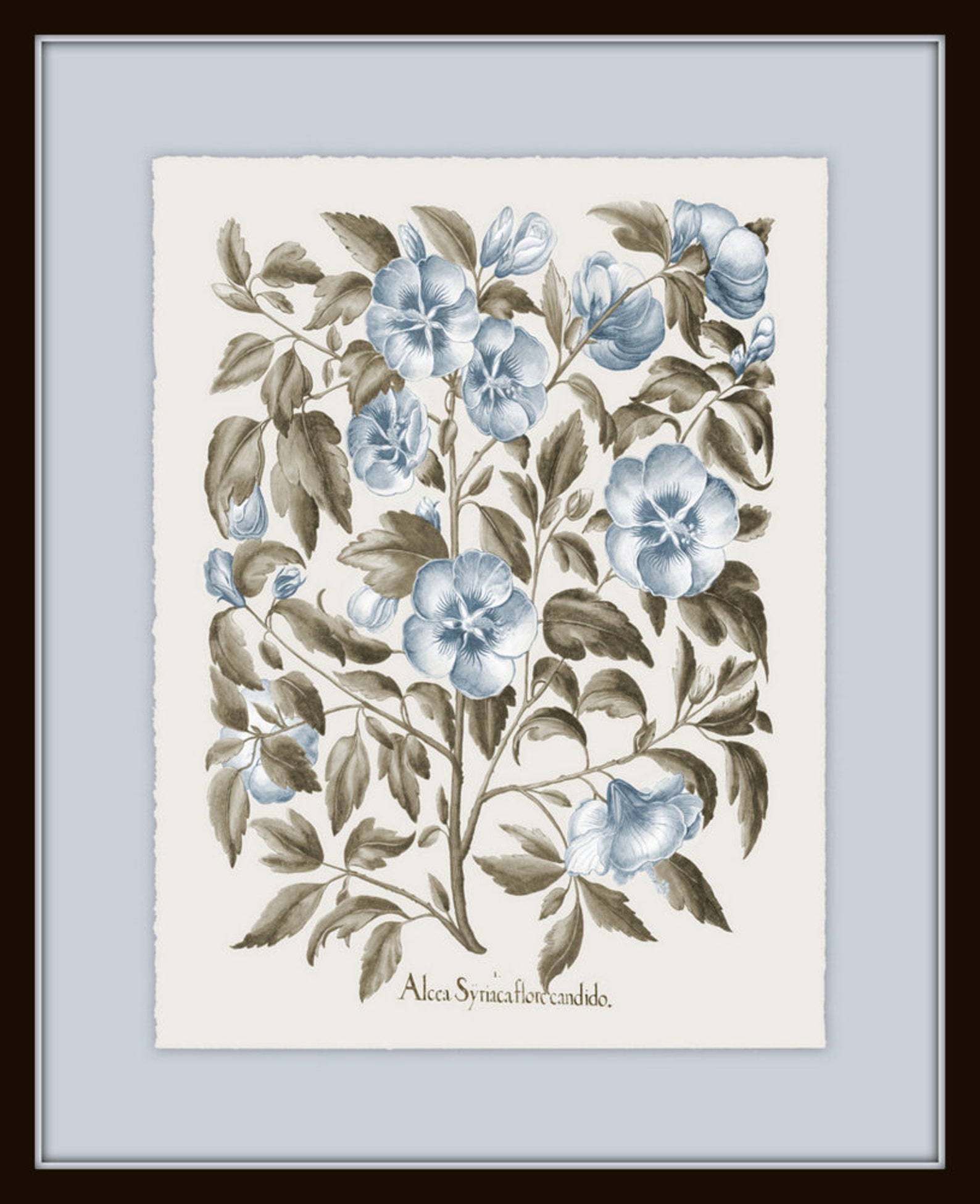 Vintage Sepia and Blue Botanical Print Set No. 3, Botanical Art ...