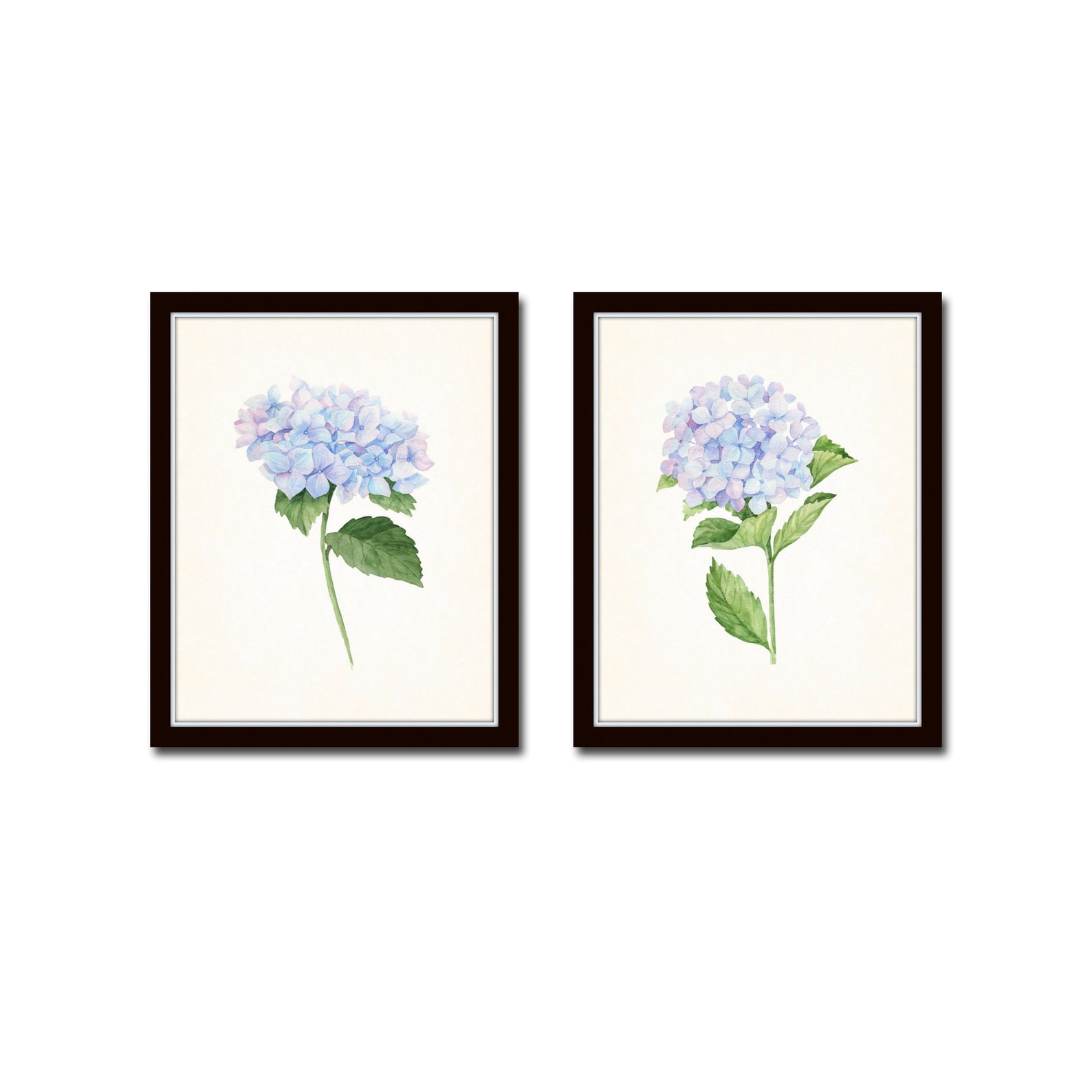 Hydrangea Print Set, Botanical Prints, Watercolor Botanical Prints ...