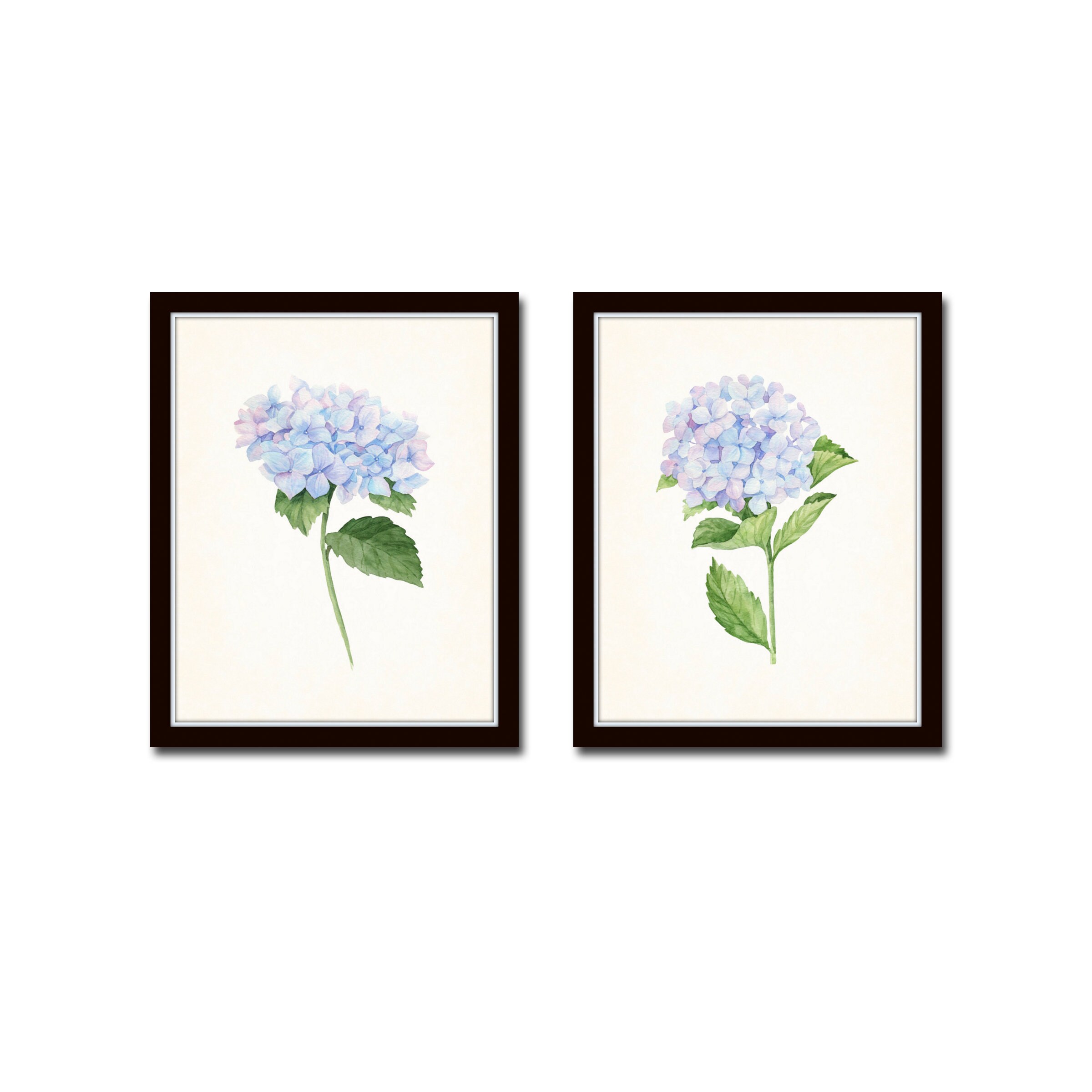 Hydrangea Print Set Botanical Prints Watercolor Botanical | Etsy