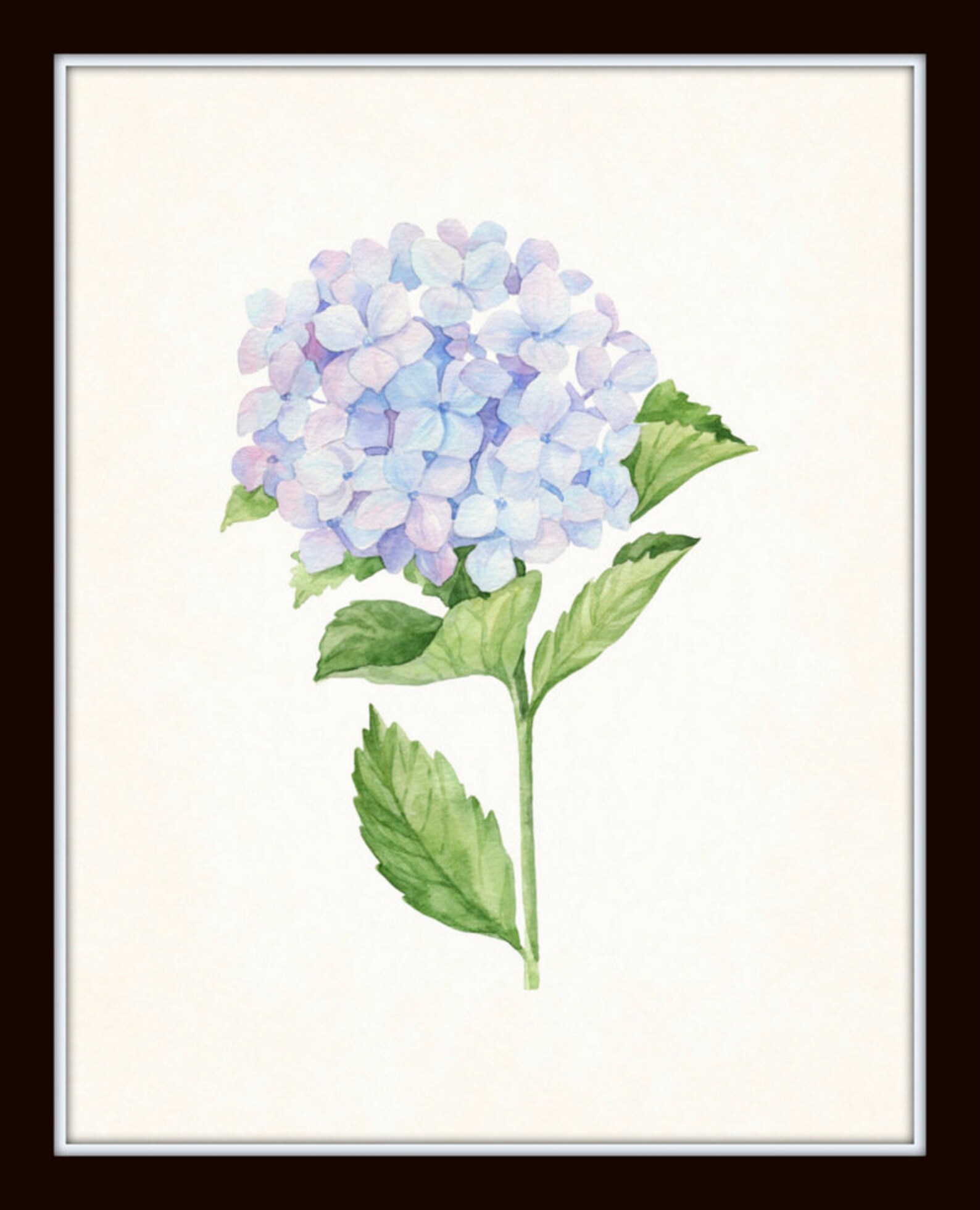 Hydrangea Print Set Botanical Prints Watercolor Botanical - Etsy