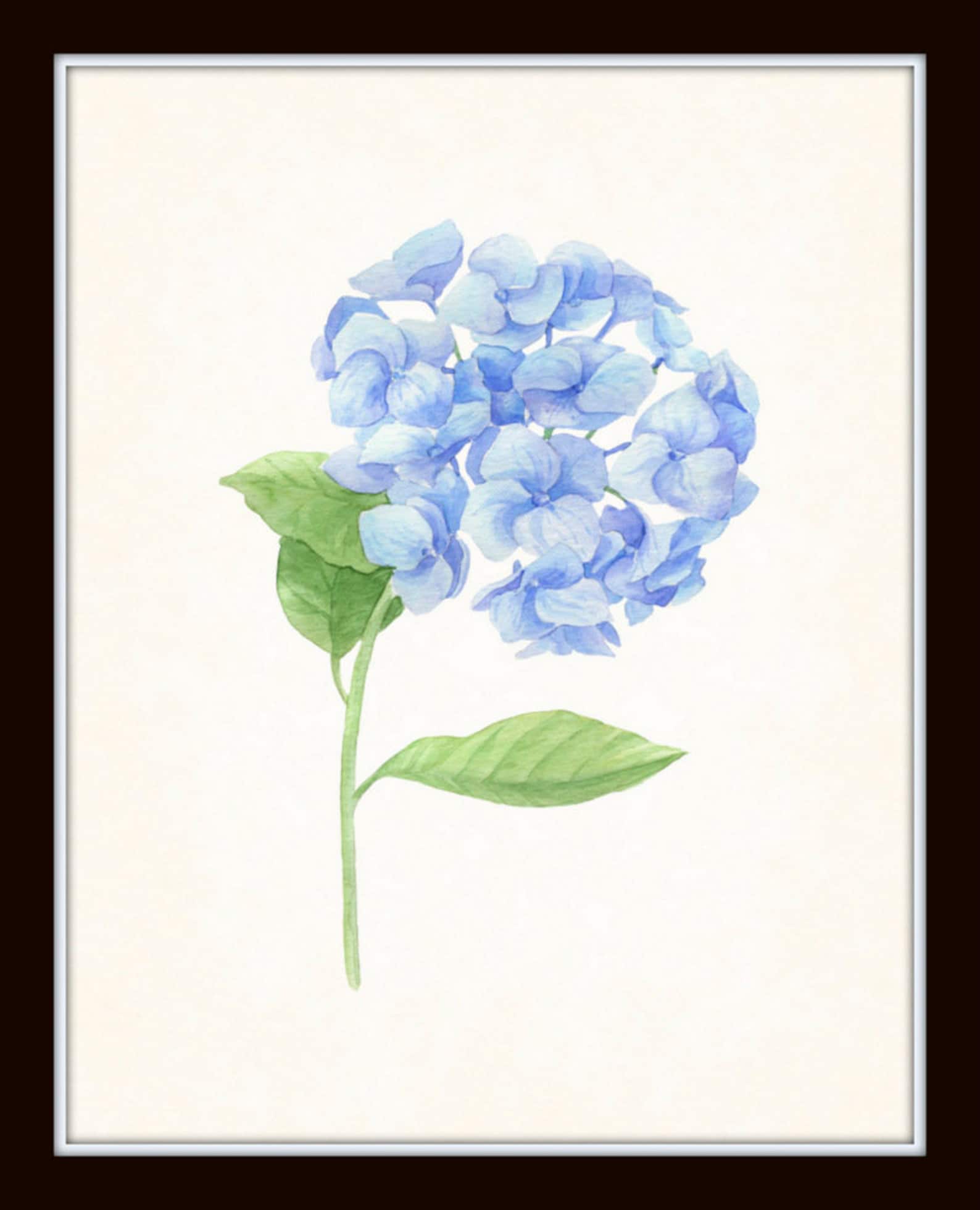 Hydrangea Print Set Botanical Prints Watercolor Botanical - Etsy