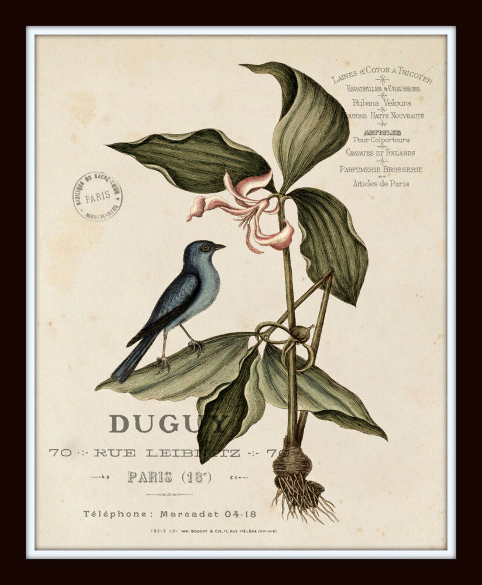 Vintage Bird and Botanical Print Set No.2, Giclee, Antique Botanical ...