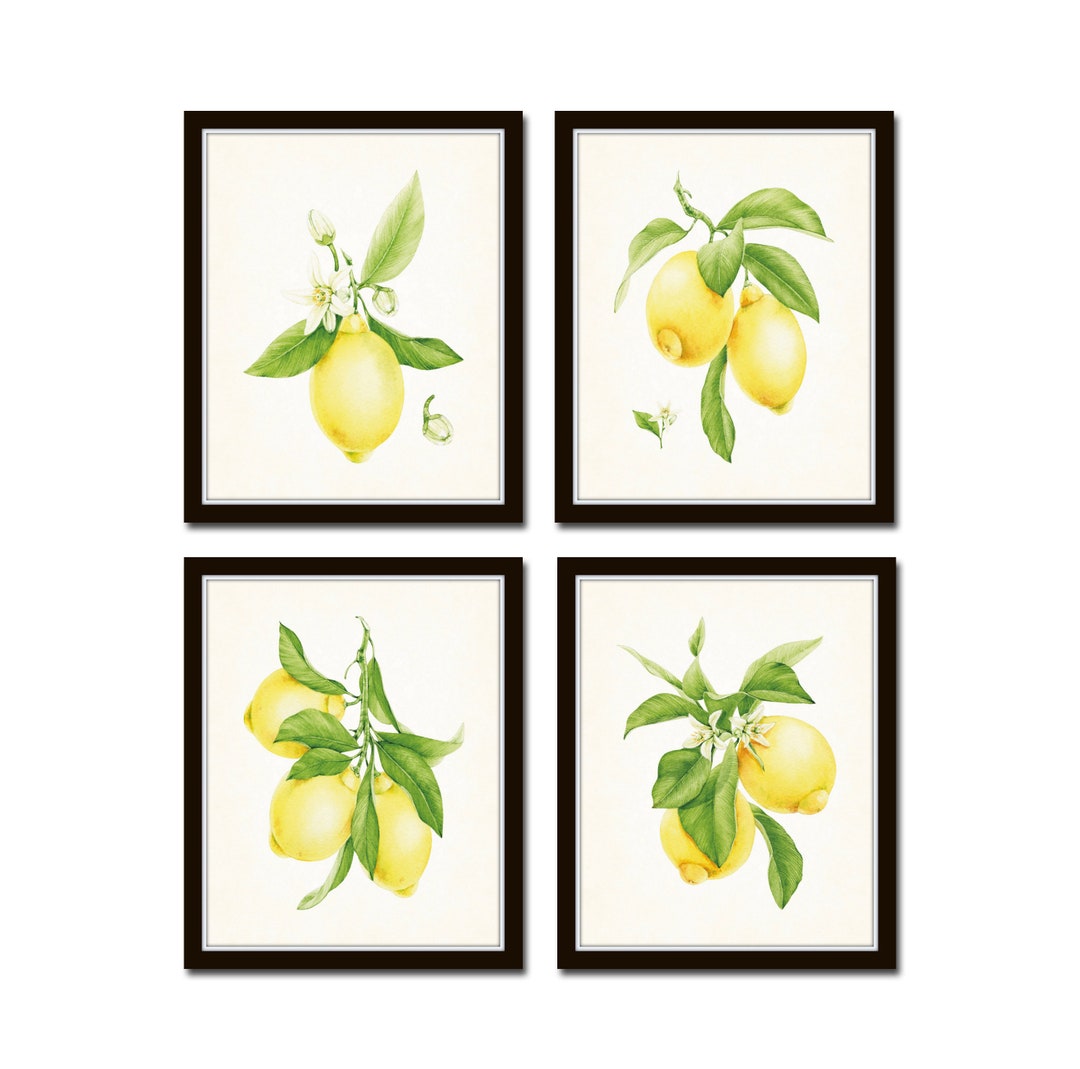 Watercolor Lemons Print Set, Botanical Prints, Home Decor, Giclee ...