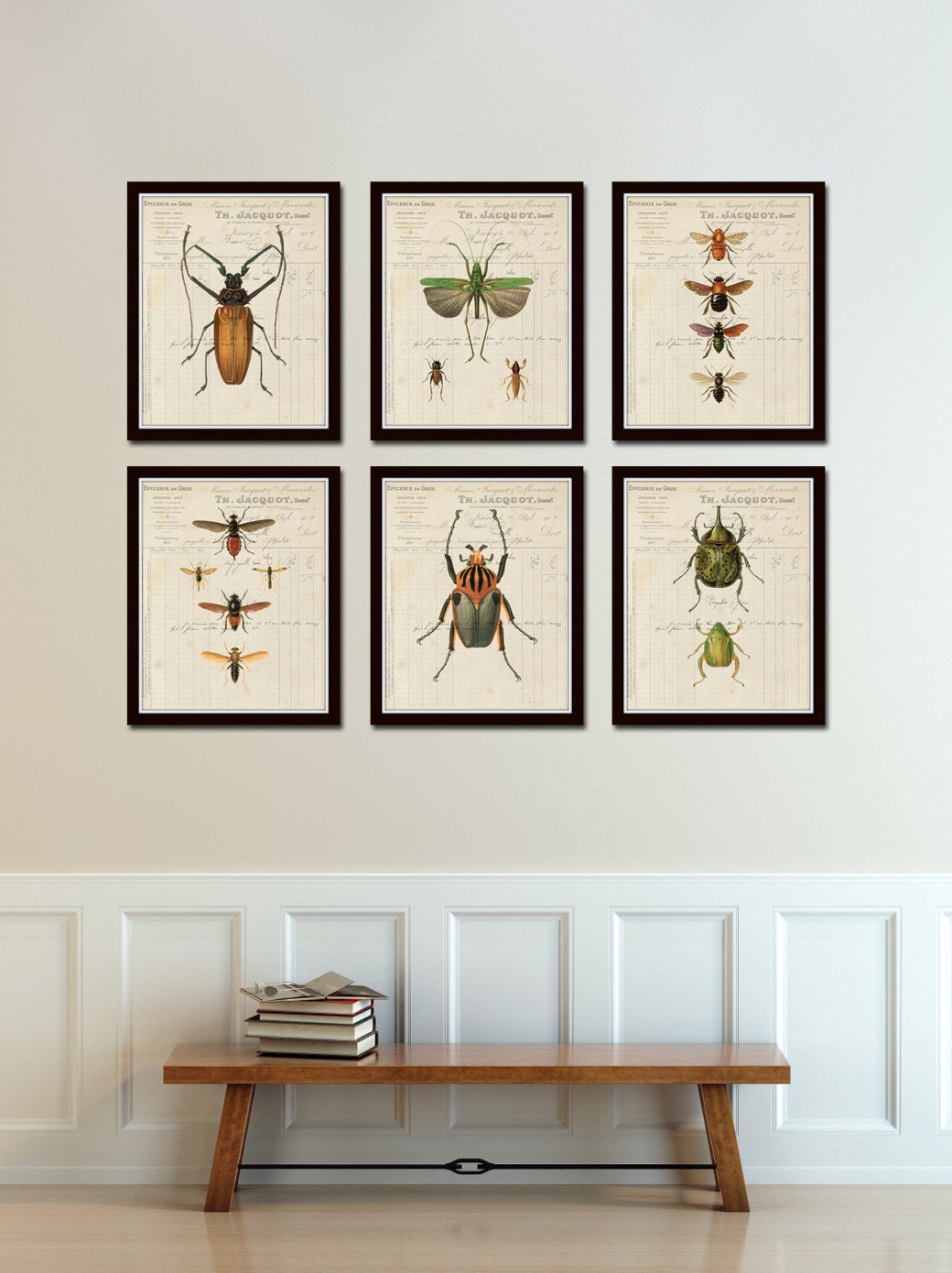 French Insect Study Print Set No. 1 Print Set Art Print - Etsy