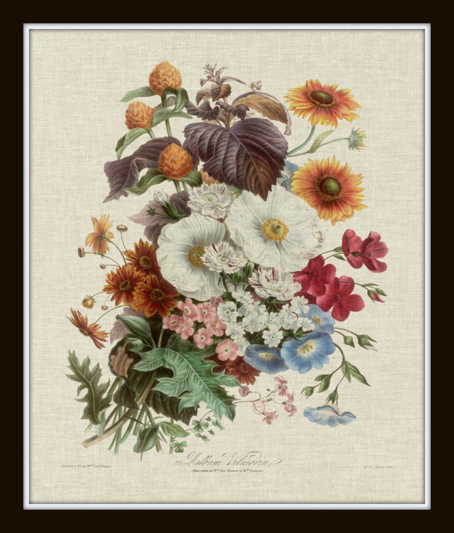 French Botanical Print Set, Vintage Botanical Prints, Vintage French ...