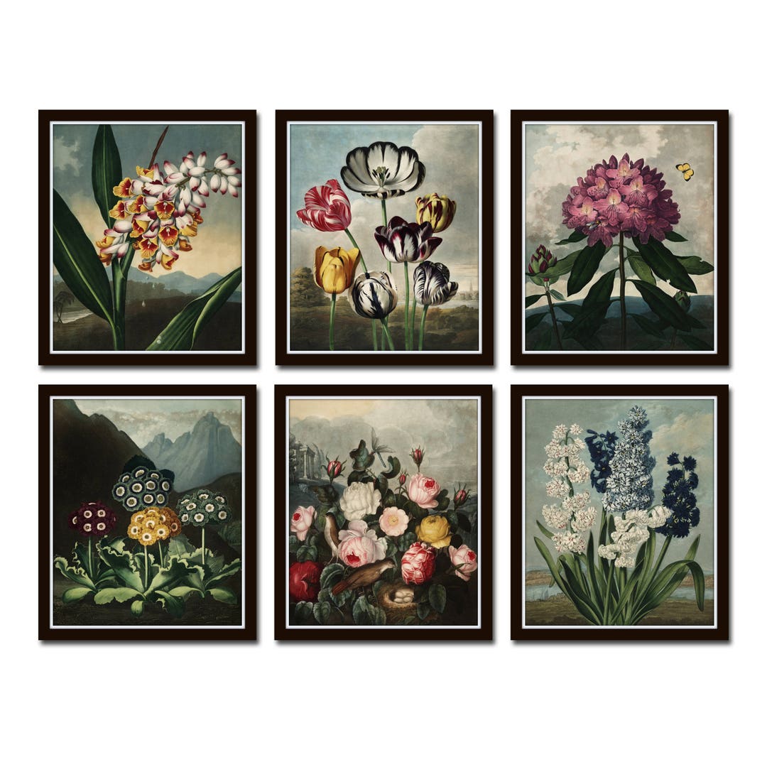 Botanical Print Set No. 16, Antique Botanical Prints, Giclee, Wall Art ...