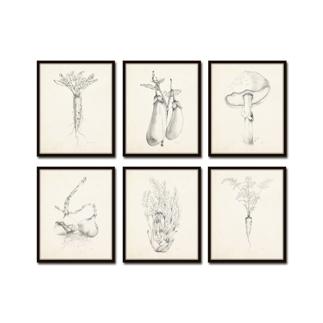 Vintage Vegetable Sketch Prints Set No. 1, Botanical Prints, Giclee ...