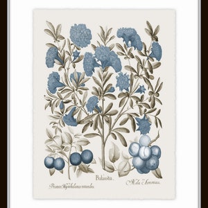 Vintage Sepia and Blue Botanical Print Set No. 1, Blue Botanical Art ...
