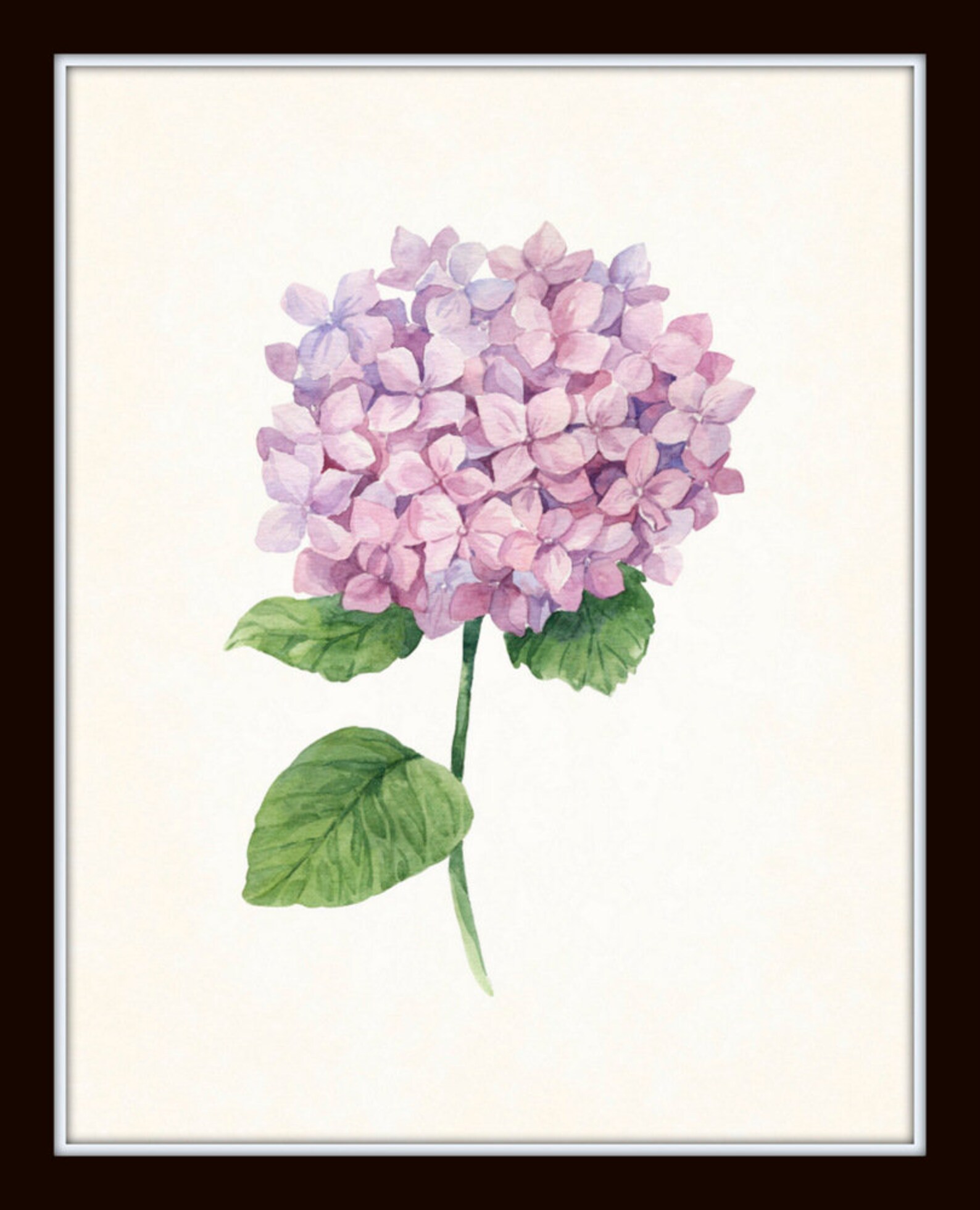 Hydrangea Print Set Botanical Prints Watercolor Botanical - Etsy