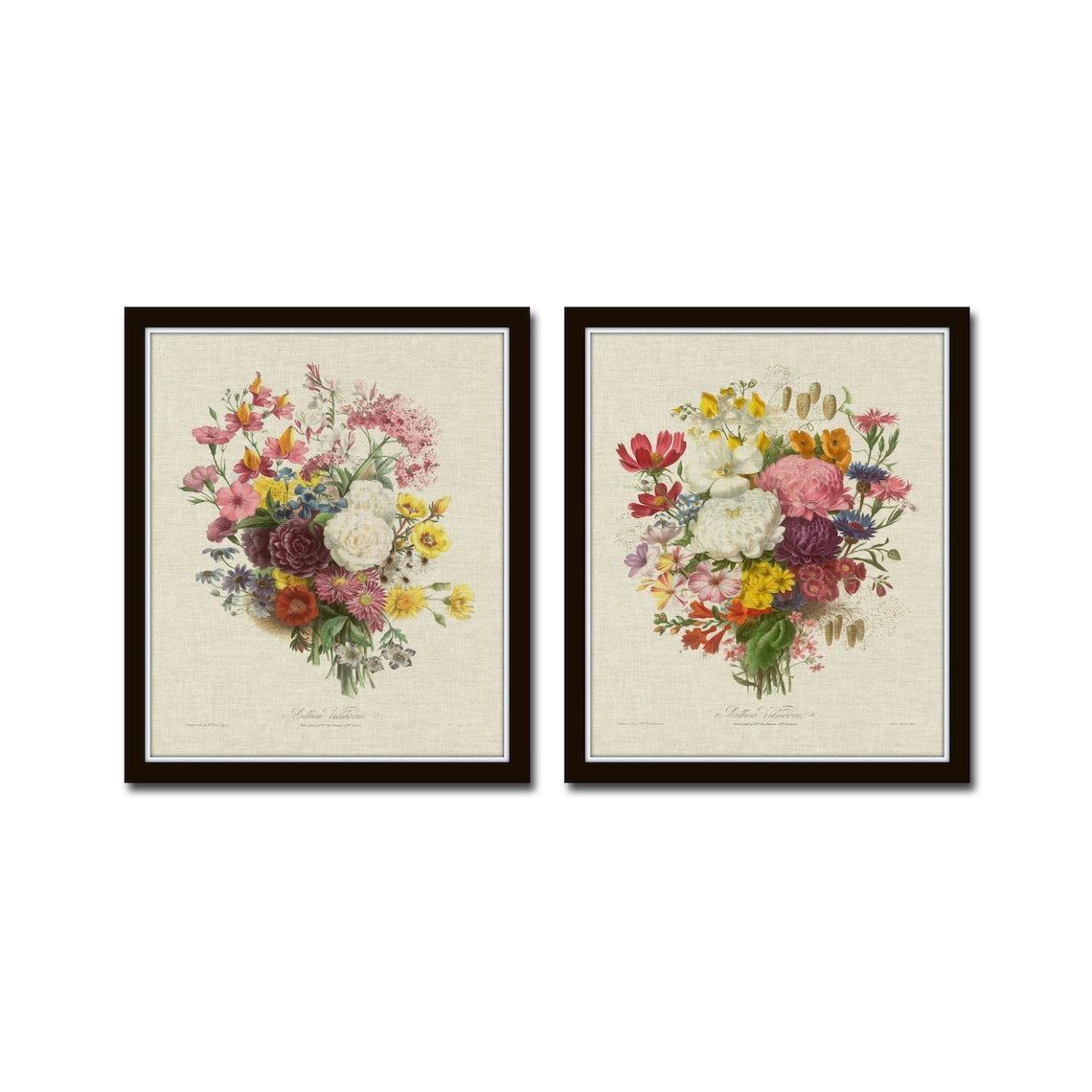 French Botanical Print Set No. 3 Vintage Botanical Prints - Etsy