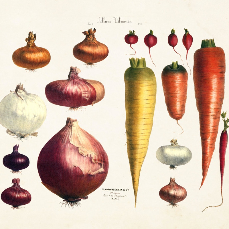 French Kitchen Art - Etsy