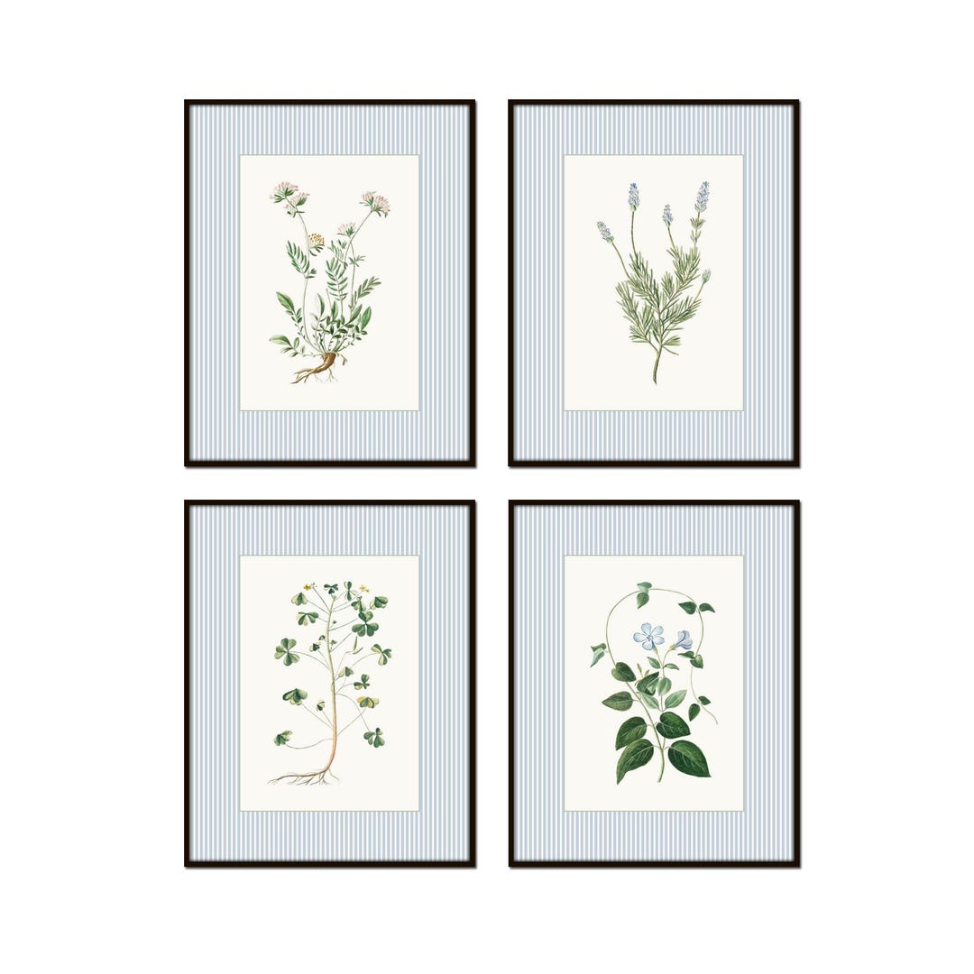 Antique Botanical Collage Print Set, Italian Botanical Art, Home Decor ...