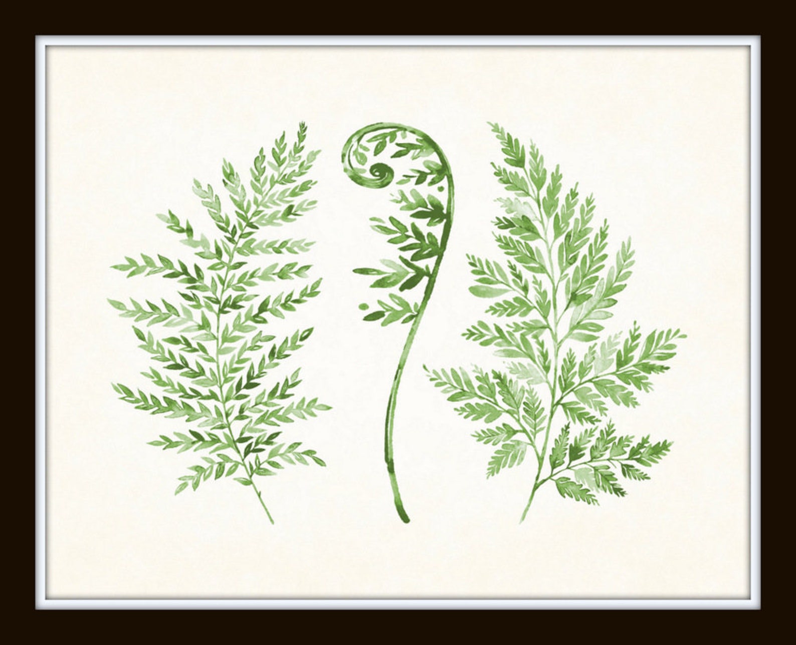 Watercolor Ferns Print Set No. 5 Botanical Prints Botanical | Etsy