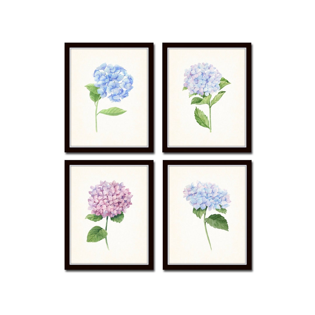 Hydrangea Print Set, Botanical Prints, Watercolor Botanical Prints, Art ...