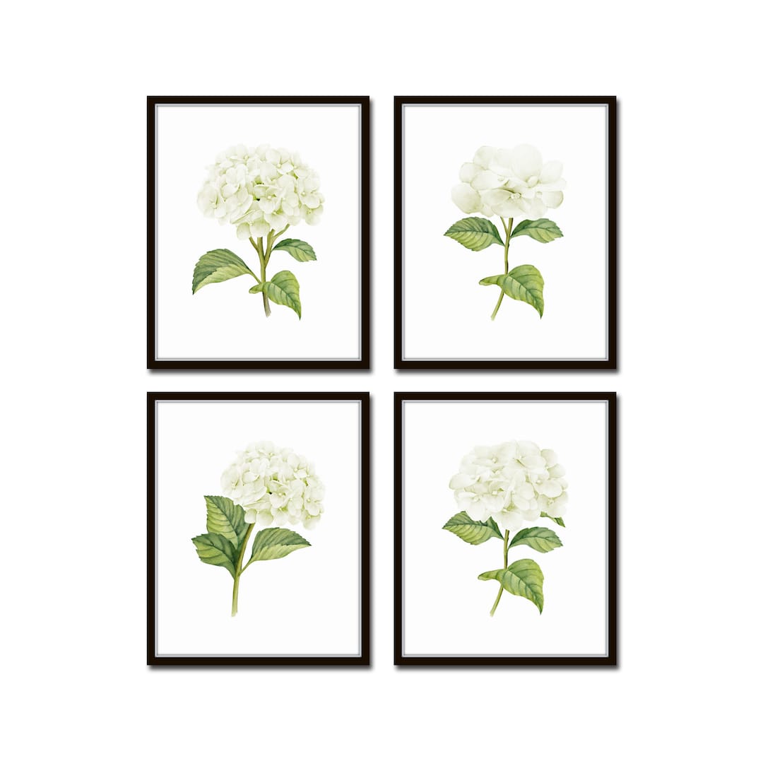 White Watercolor Hydrangea Print Set No. 1, Giclee, Botanical Print Set ...