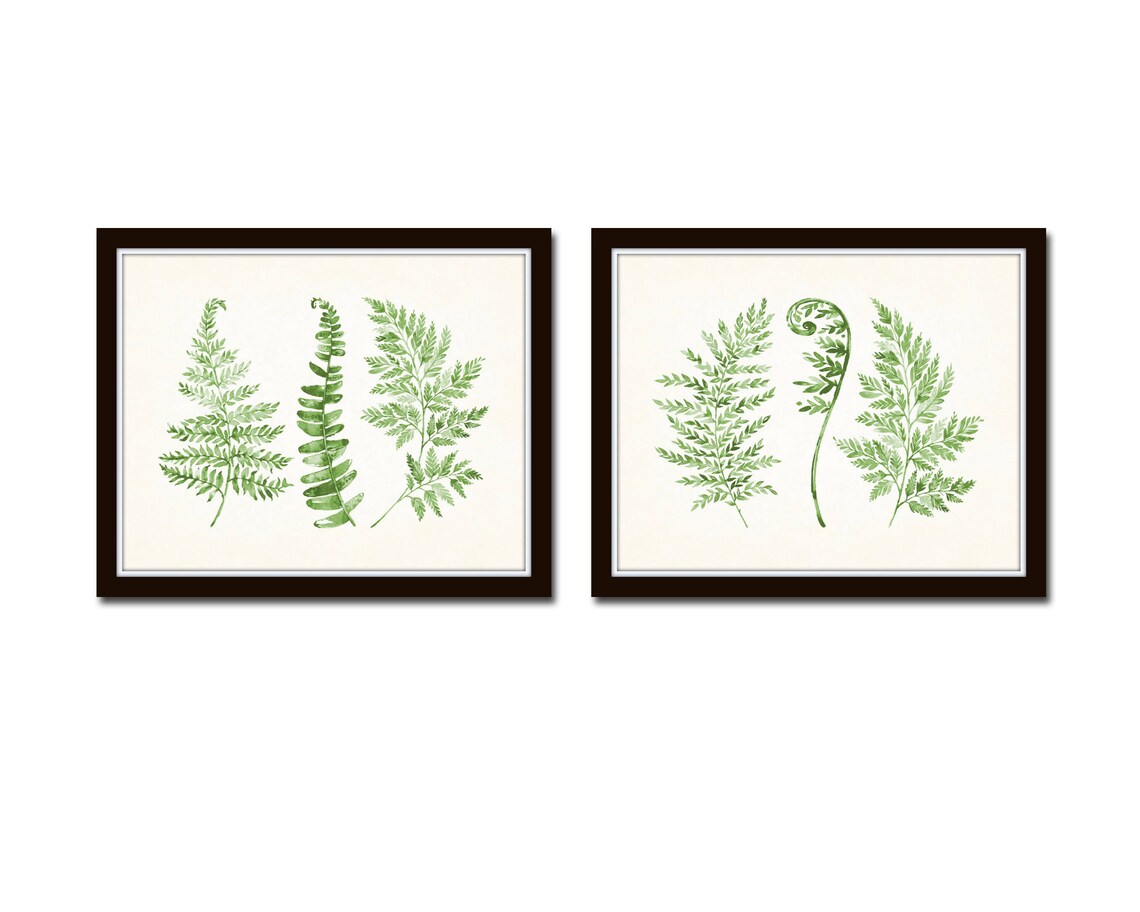 Watercolor Ferns Print Set No. 5 Botanical Prints Botanical - Etsy